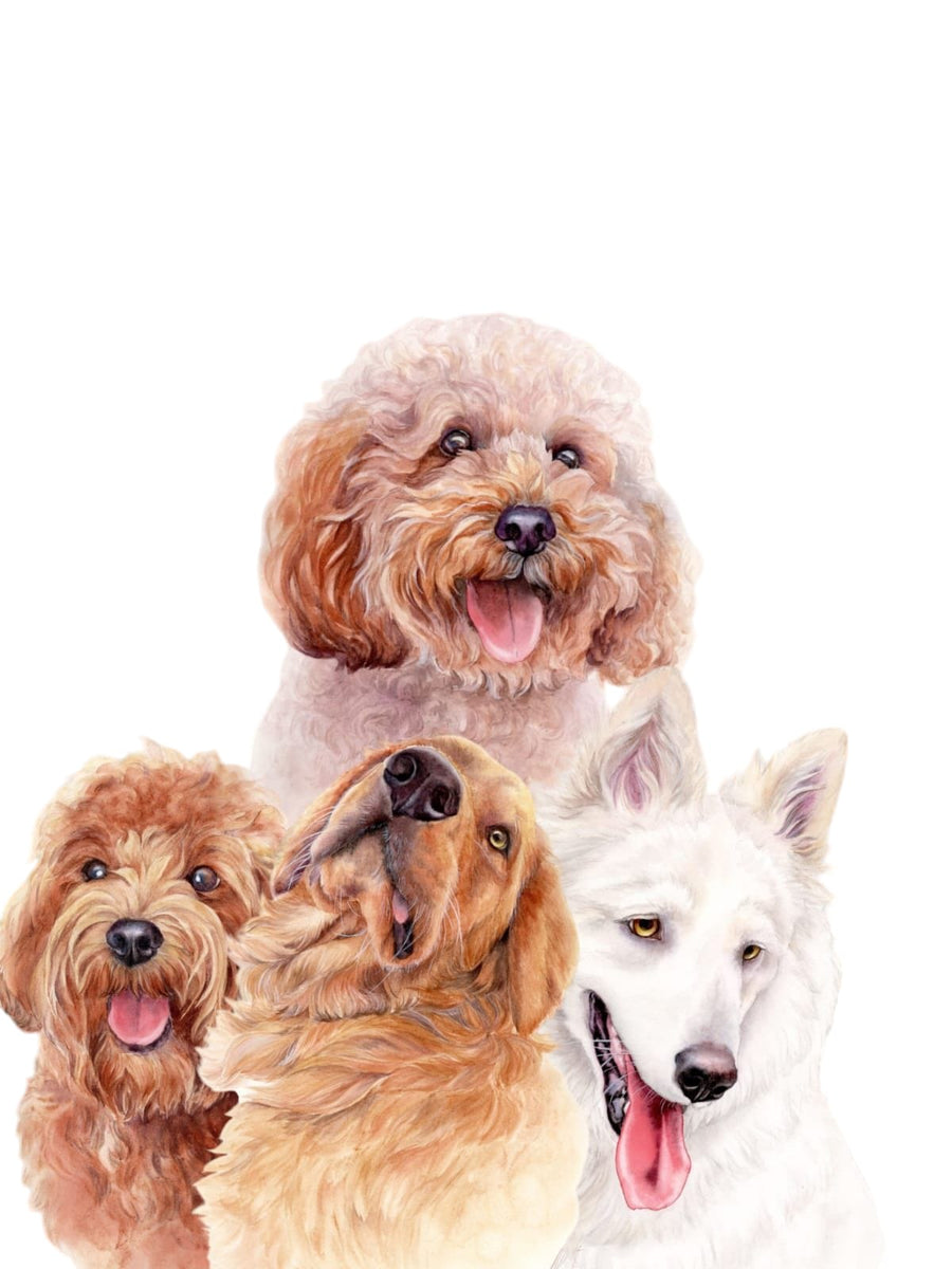 Paw Haven – Pawhavenme